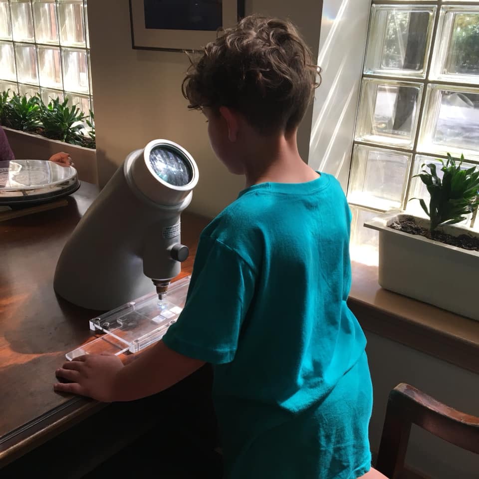 LISA NALBONE – Self-Directed, Heart-Centered, Connected Lifelong Learning